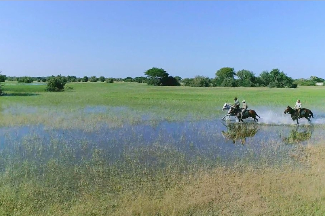 Zimbabwe parks and game reserves