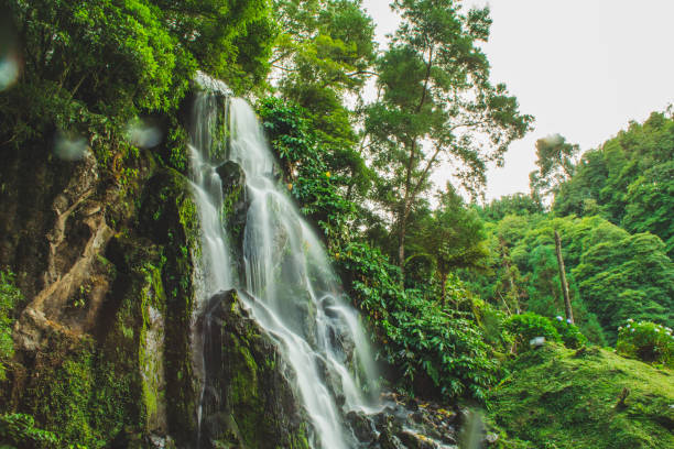 1 day—Materuni waterfalls day trip
