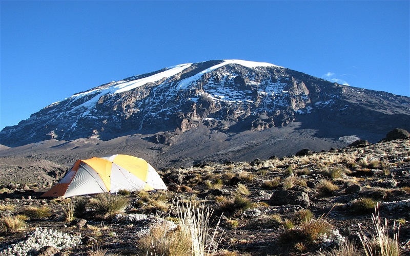 7 days—Hike Kilimanjaro Rongai Route