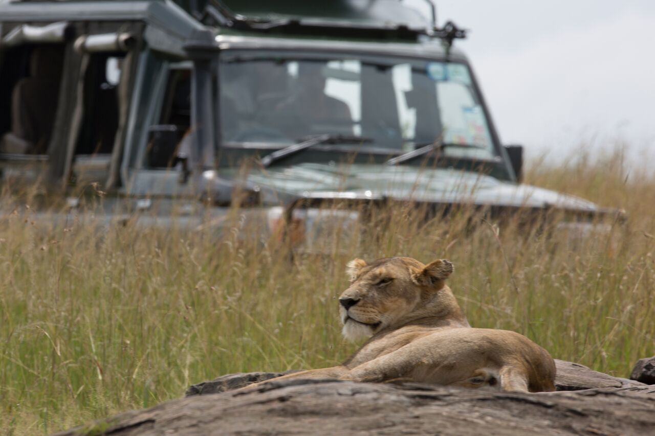 6 days—Kenya Safari From Isibania