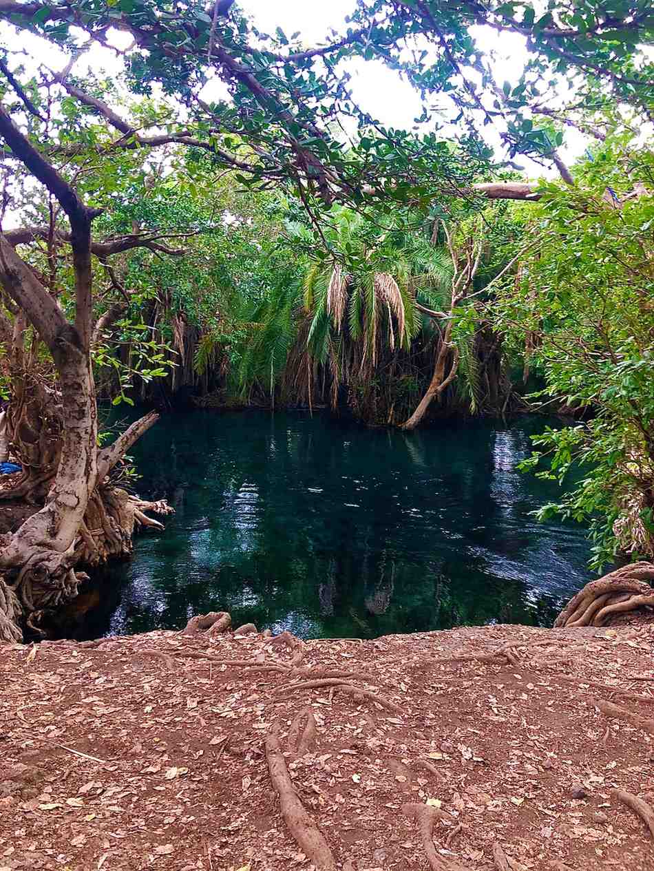 1 day—Kikuletwa Hot spring Day-Tour