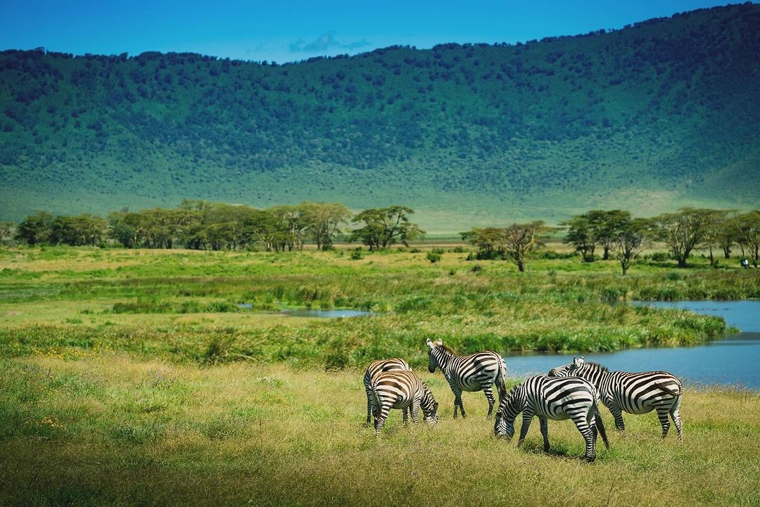 2 days— Ngorongoro and Manyara Tour