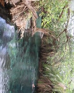 1 day—Chemka Hot Spring Day Trip