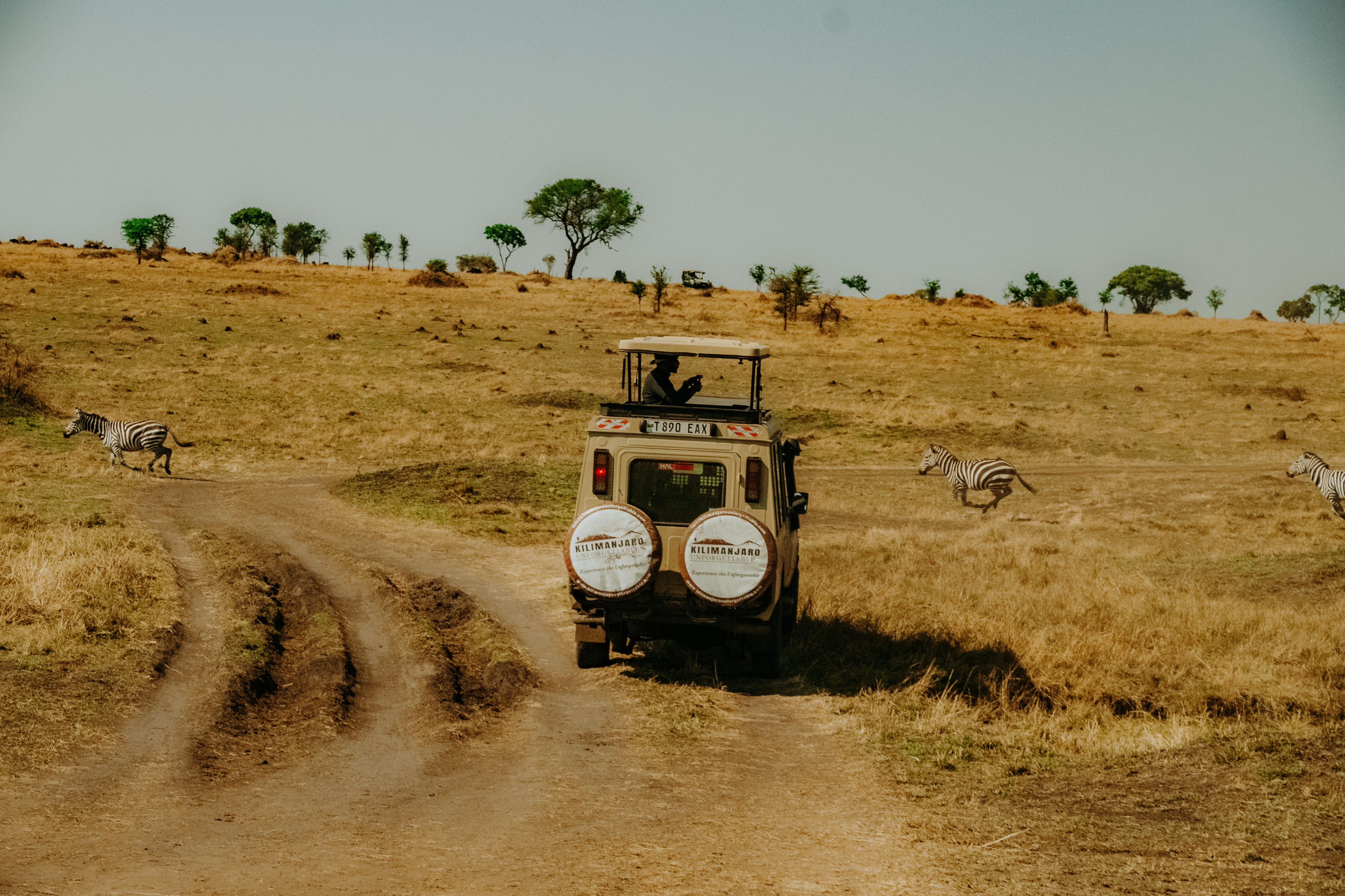 5 days—Tanzania Northern Safari